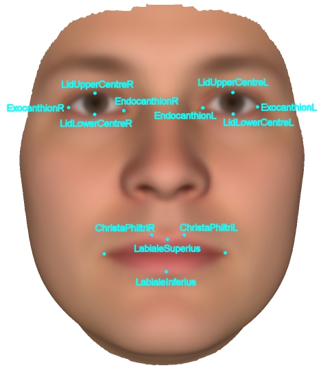 FaceGen SDK Manual - Commands