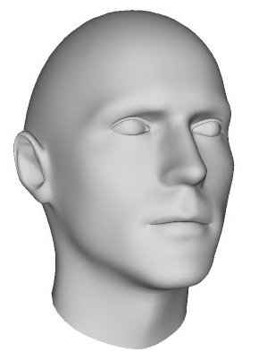 FaceGen Modeller PhotoFit Samples