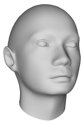 FaceGen Modeller PhotoFit Samples