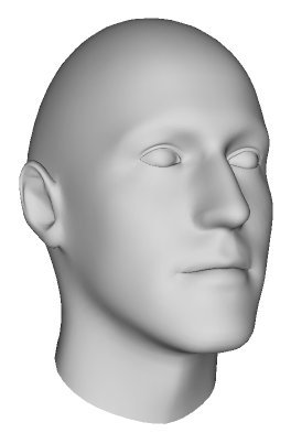 FaceGen Modeller PhotoFit Samples